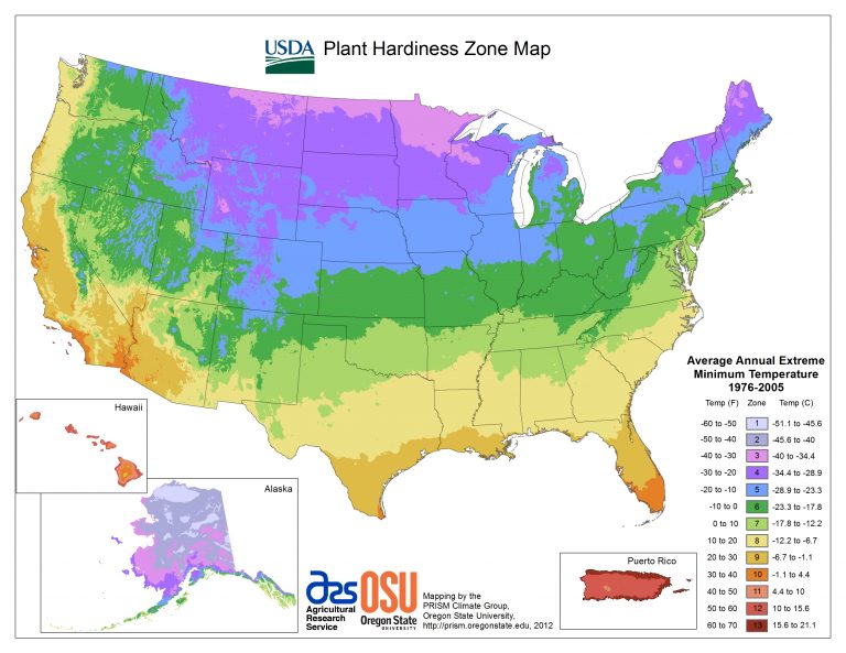 58 Hummingbird Plants Arizona (By Region)