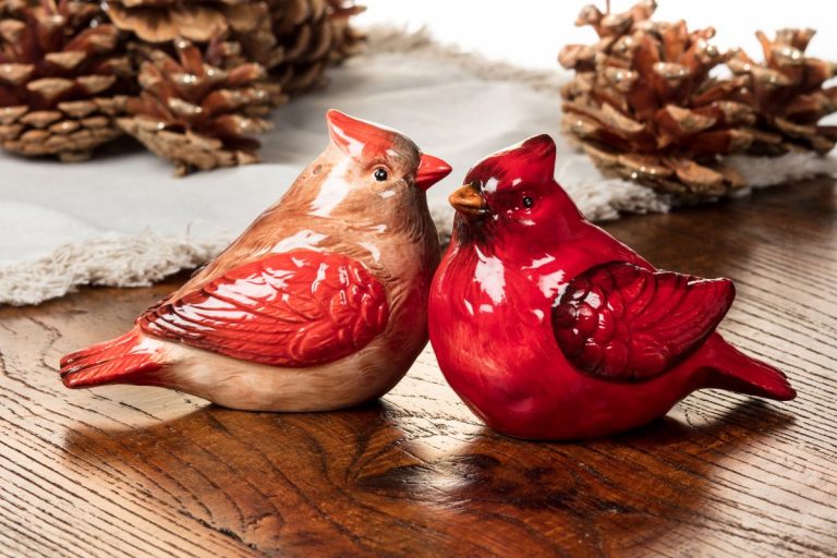 Colorful Cardinal Gifts To Bring Joy
